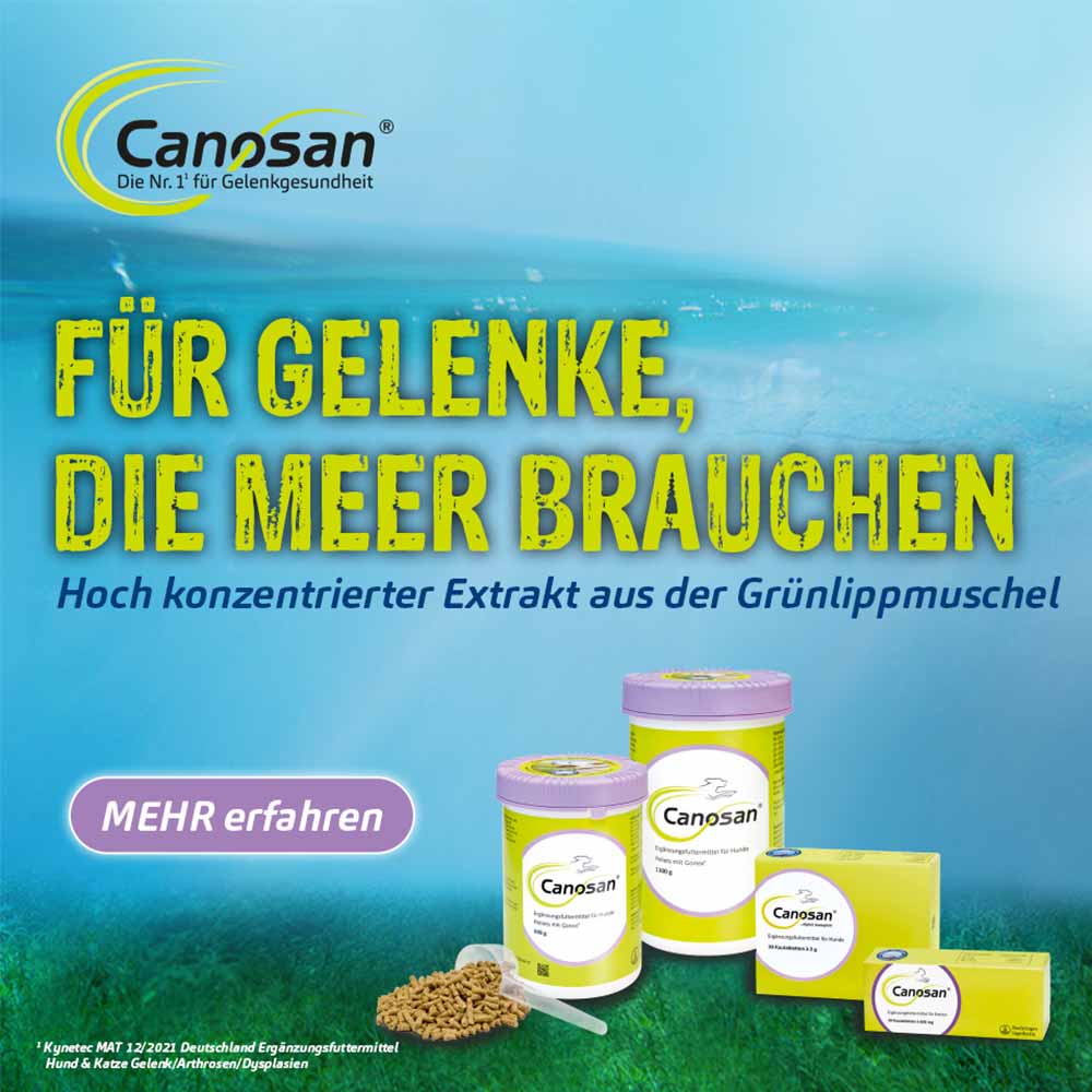 Boehringer Ingelheim Canosan Pellets | Tierarzt24.de