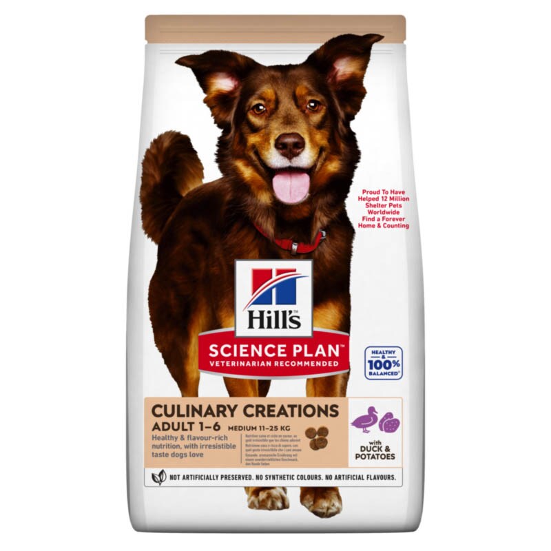 Hills Science Plan Culinary Creations Medium Adult Hundefutter ...