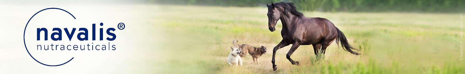 navalis® – Nutrazeutika für Hunde und Pferde | Tierarzt24.de