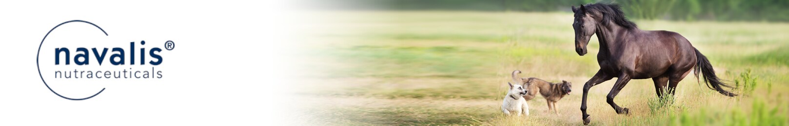 navalis® – Nutrazeutika für Hunde und Pferde | Tierarzt24.de