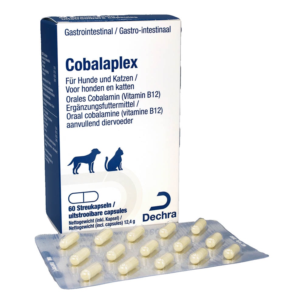Dechra Cobalaplex Kapseln | Tierarzt24.de
