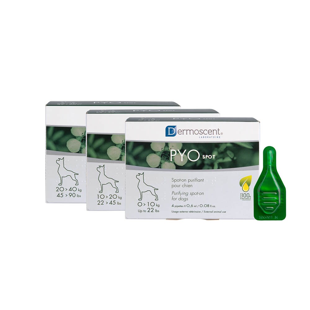 Nextmune Dermoscent PYOspot Hund | Tierarzt24.de